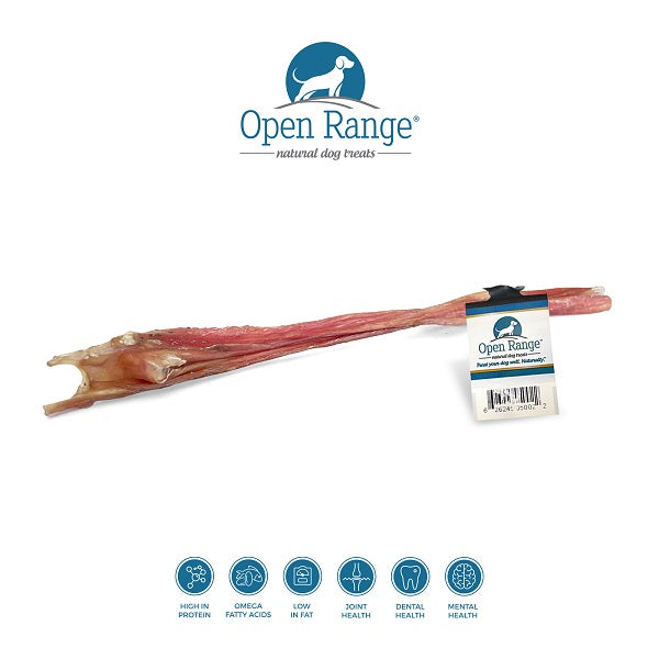 Open Range Bully Stick Jr.-Bladder 12 – G&E Pharmacy