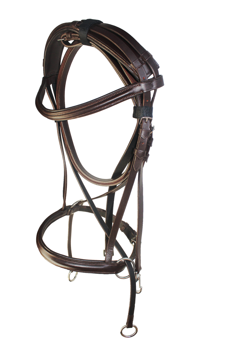 True North Bitless Bridle with Spring Snaps – G&E Pharmacy