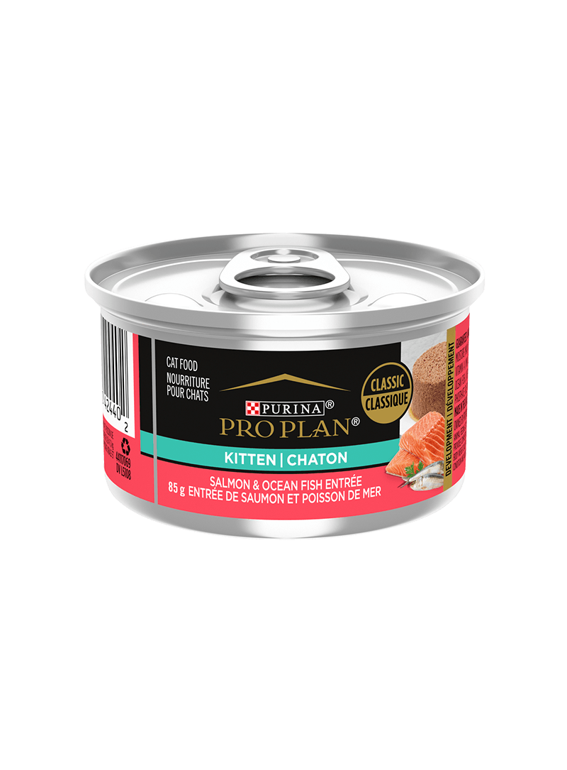 ProPlan Kitten Salmon & Ocean Fish Entrée 3oz – G&E Pharmacy