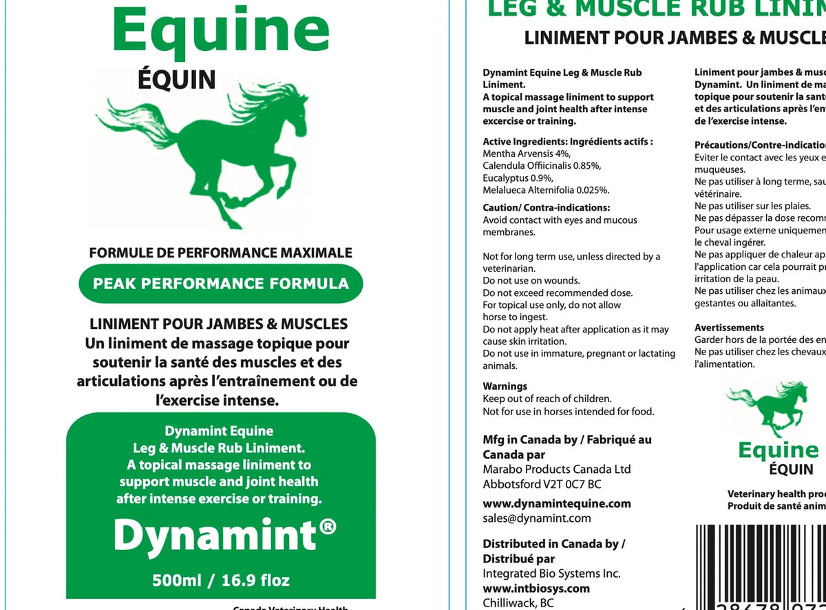 Dynamint Equine Leg & Muscle Rub – G&E Pharmacy