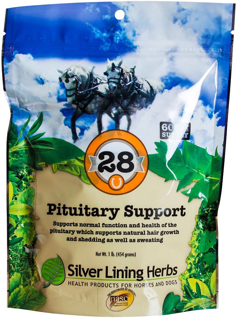 Silver Lining Herbs Pituitary Support Horse Supplement – G&E Pharmacy