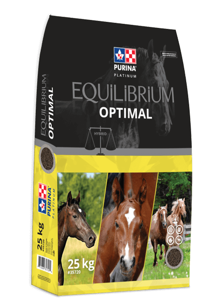 Purina Equilibrium Optimal 25kg – G&E Pharmacy